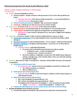 Exam 1 Study Guide - Exam 1 Study Guide Module 1: Learning Objectives ...
