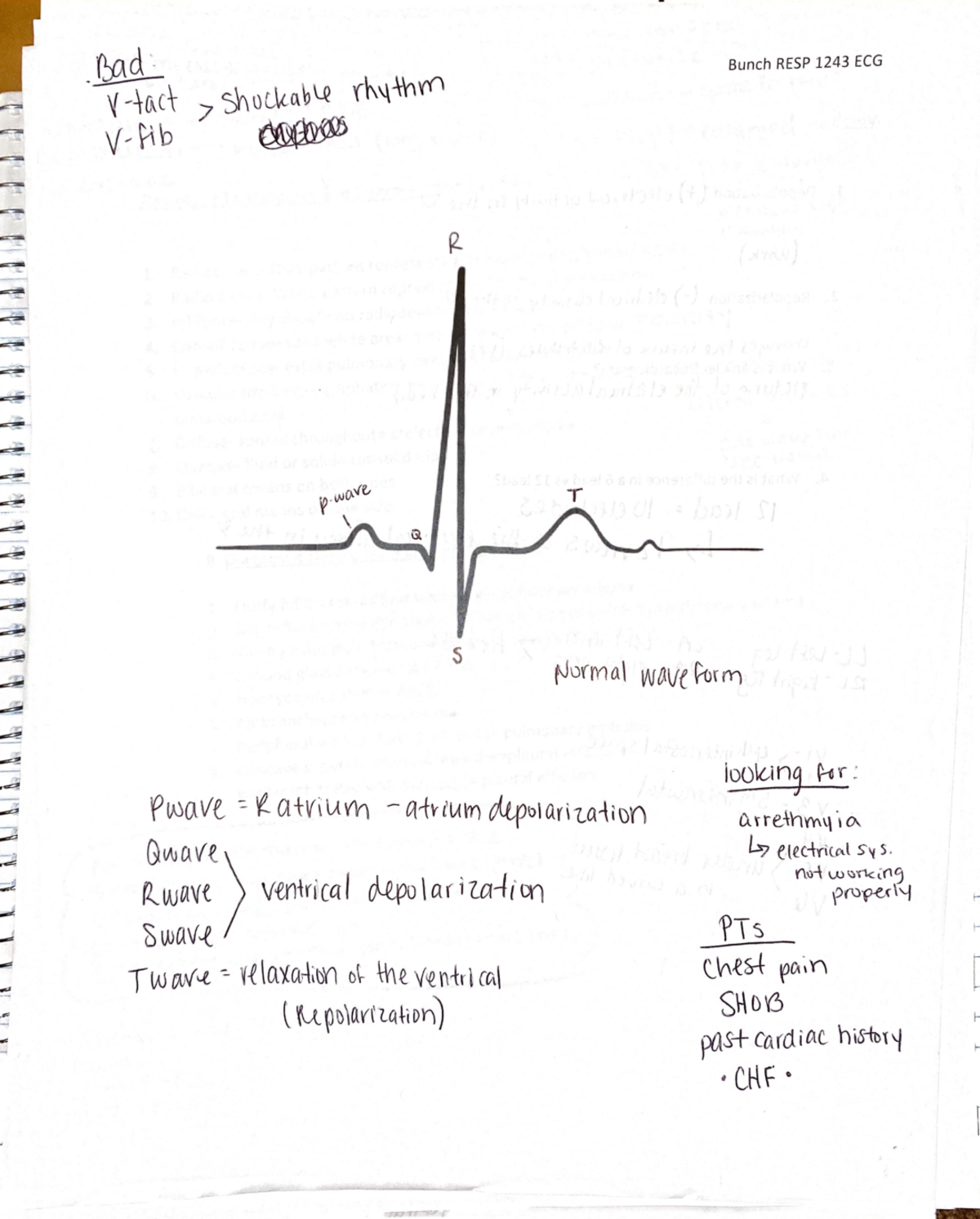 Pa radiology terminology and interpretation handout - Bad Bunch RESP ...
