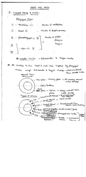 5 minute neuro exam handout - THE FIVE-MINUTE NEUROLOGICAL EXAMINATION ...