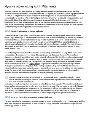 Most Molecular Motor Proteins Are Members of the PLoop NTPase ...