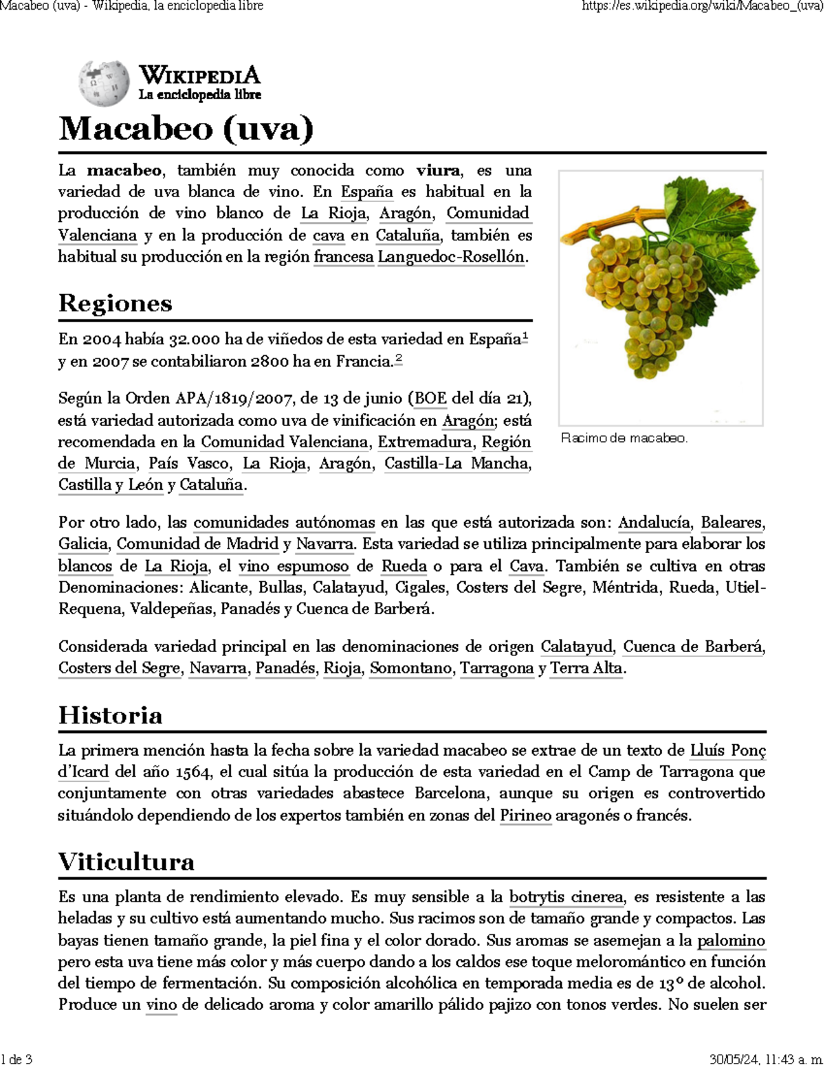 Macabeo (uva) - Wikipedia, la enciclopedia libre - Racimo de macabeo ...