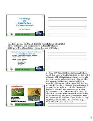 Part 2.2 - Entomology - Borers - 1 Ornamental & Turf Short Course ...
