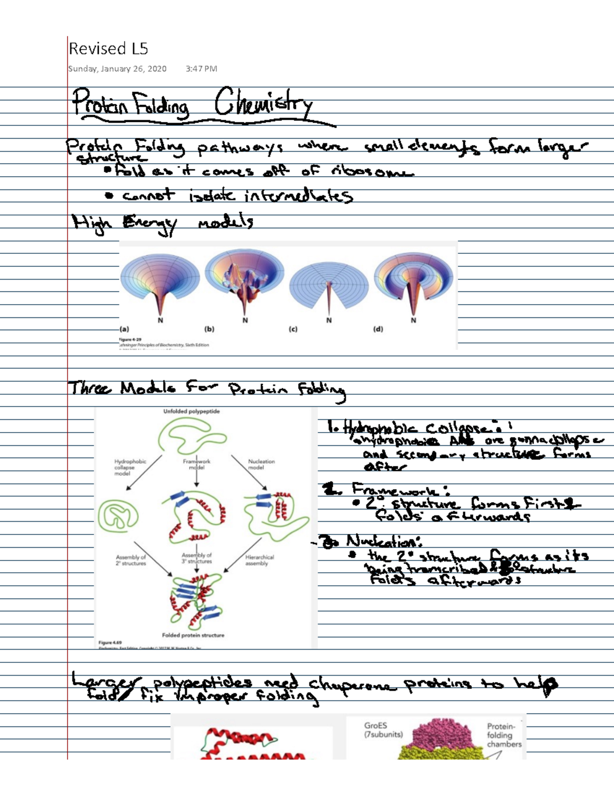 Biochem lec5 written - section 1 - BIOSC 1000 - Revised L Sunday ...