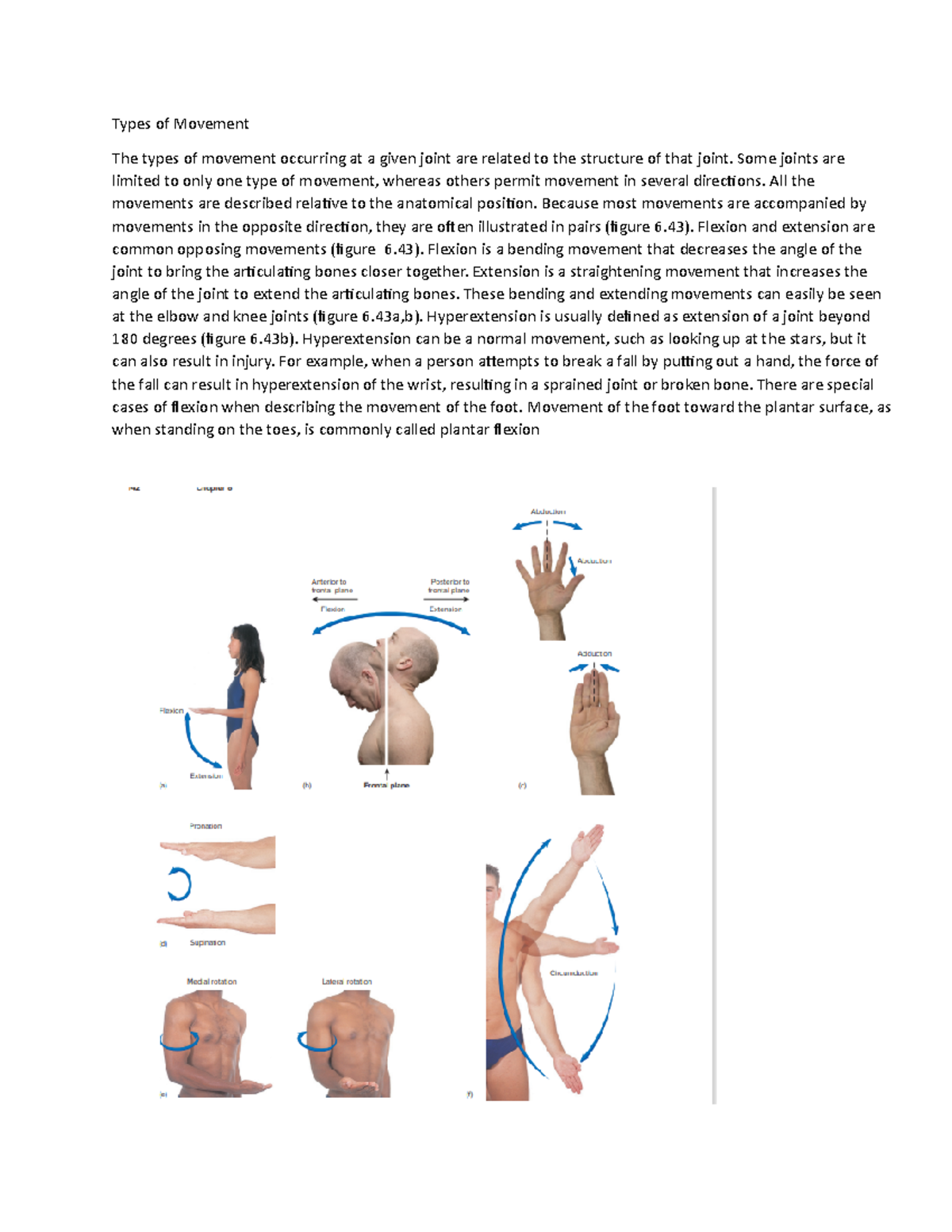Seeley's Anatomy and Physiology Chapter 6.19 - Types of Movement The ...