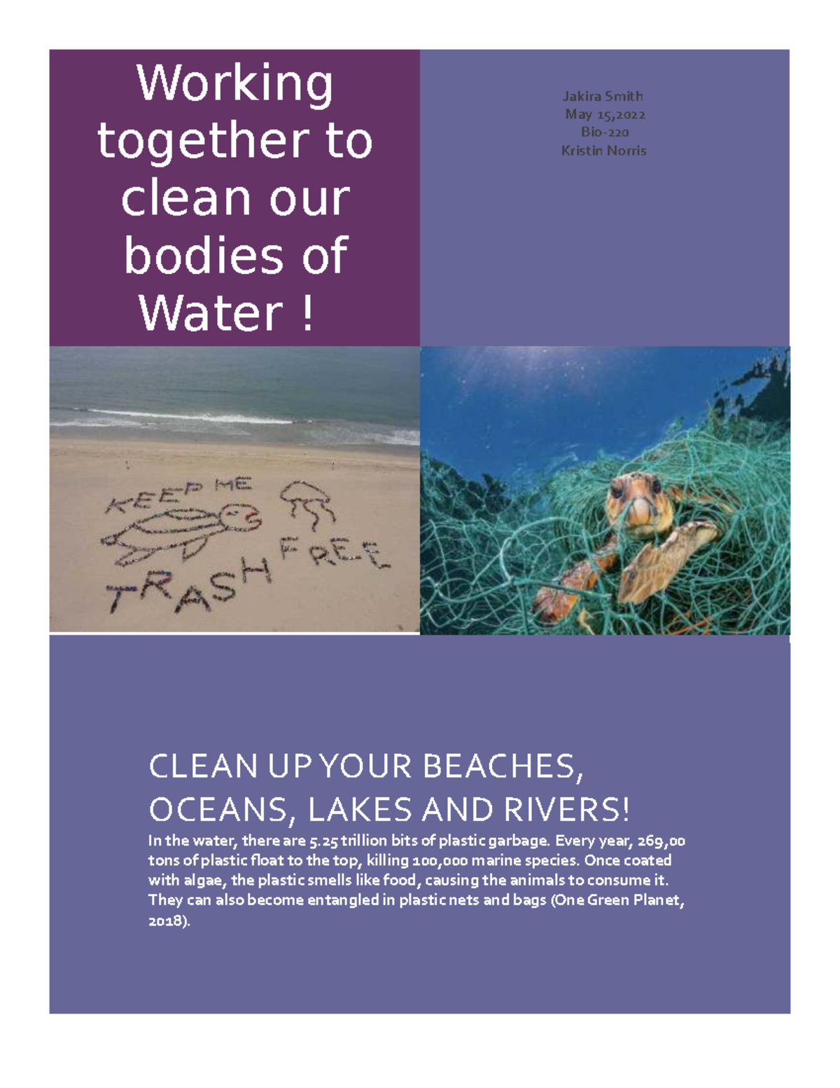 Restoration Pamplet - Working together to clean our bodies of Water ...