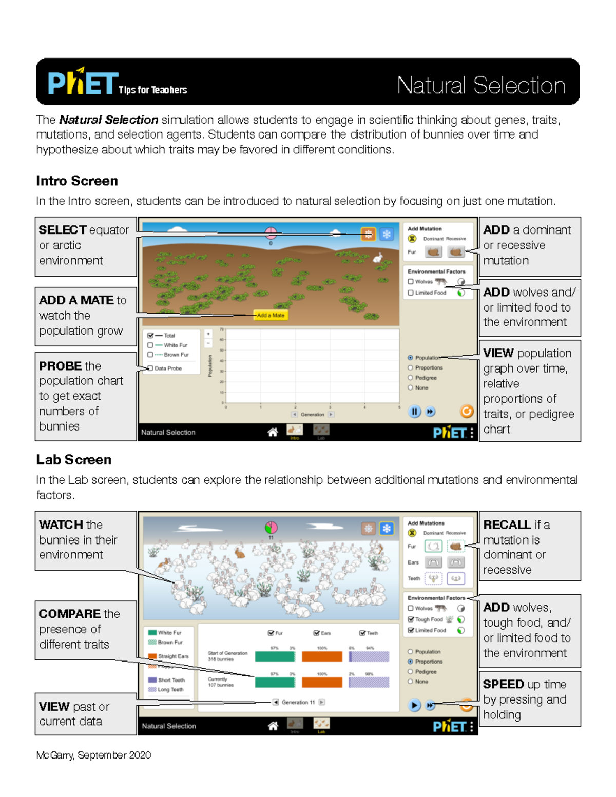 Natural-selection-html-guide en - The Natural Selection simulation ...