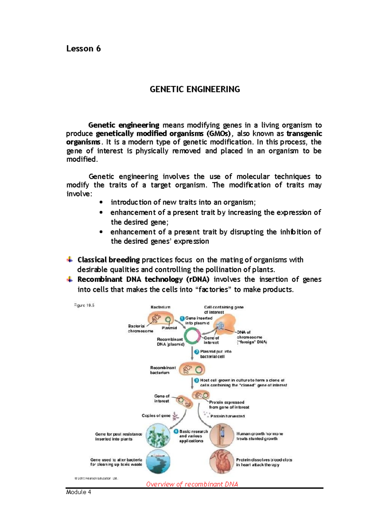 Lesson 6 Genetic Engineering - Module 4 Lesson 6 GENETIC ENGINEERING ...