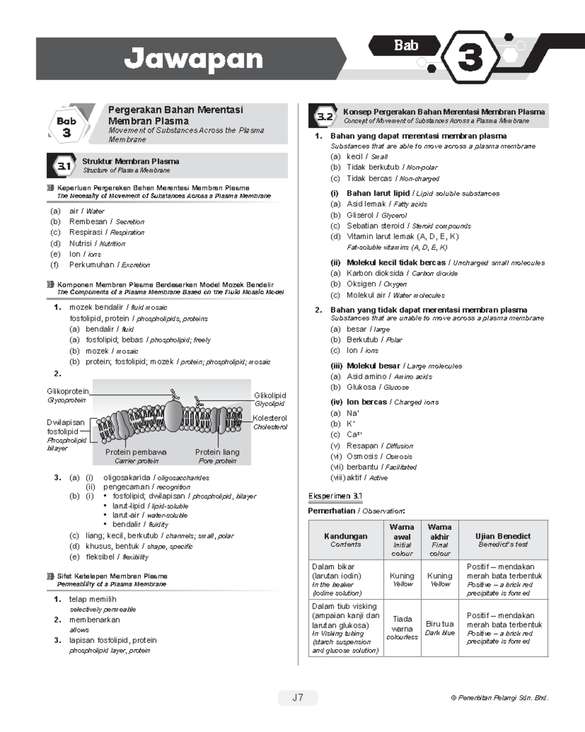 Jawapan Bab 3 - J7 © Penerbitan Pelangi Sdn. Bhd. Jawapan 3 Bab Bab 3 Pergerakan Bahan Merentasi ...