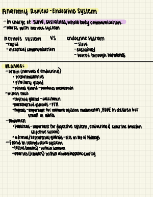 Anatomy learning objectives Exam review - Anatomy learning objectives ...