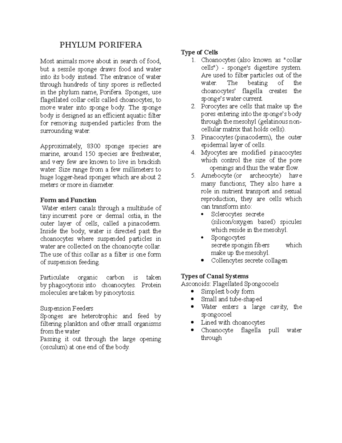 Phylum Porifera - Lecture notes 1 - PHYLUM PORIFERA Most animals move ...