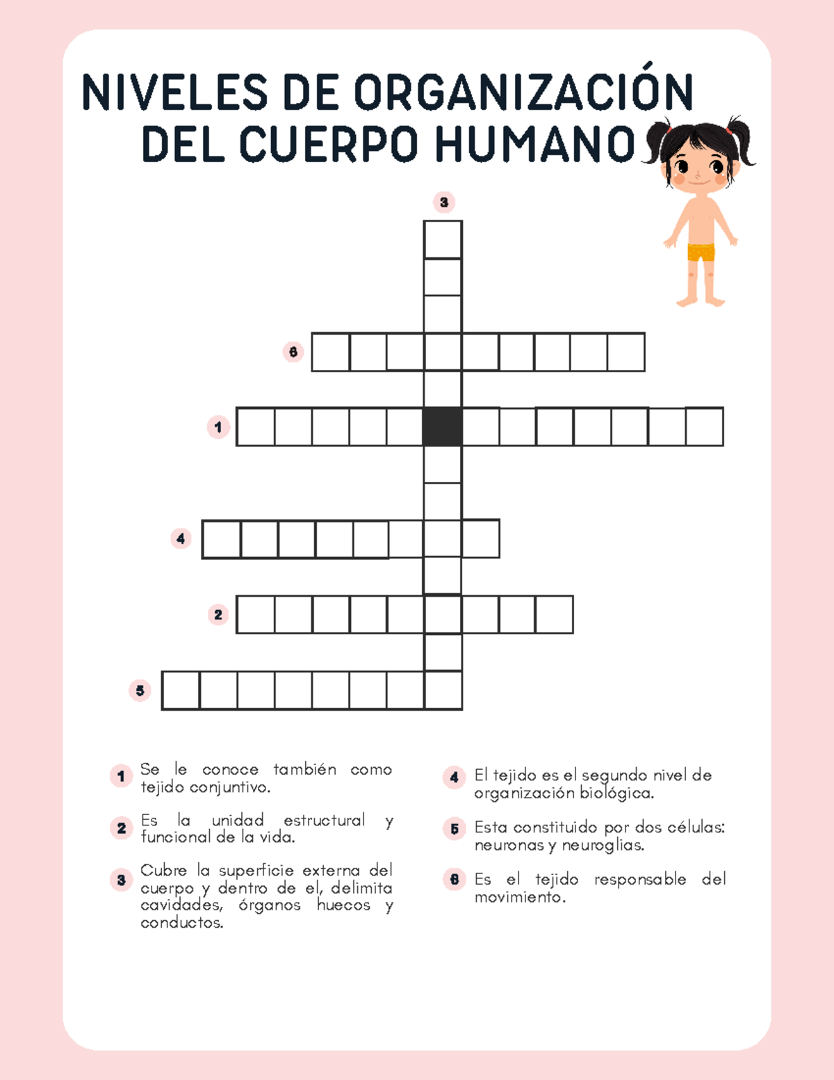Crucigrama DEL LOS Niveles DEL Cuerpo - NIVELES DE ORGANIZACIÓN DEL ...