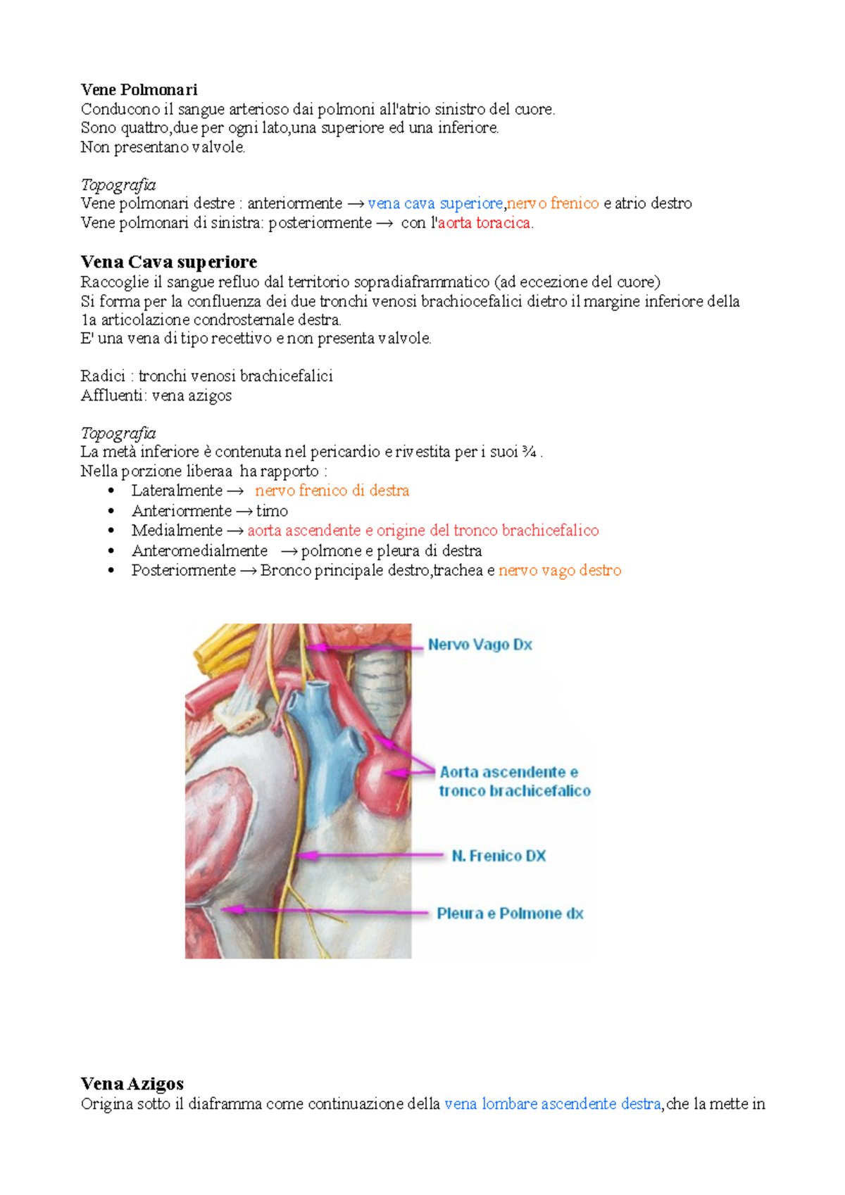 Da Polmonari ai seni - Vene Polmonari Conducono il sangue arterioso dai ...