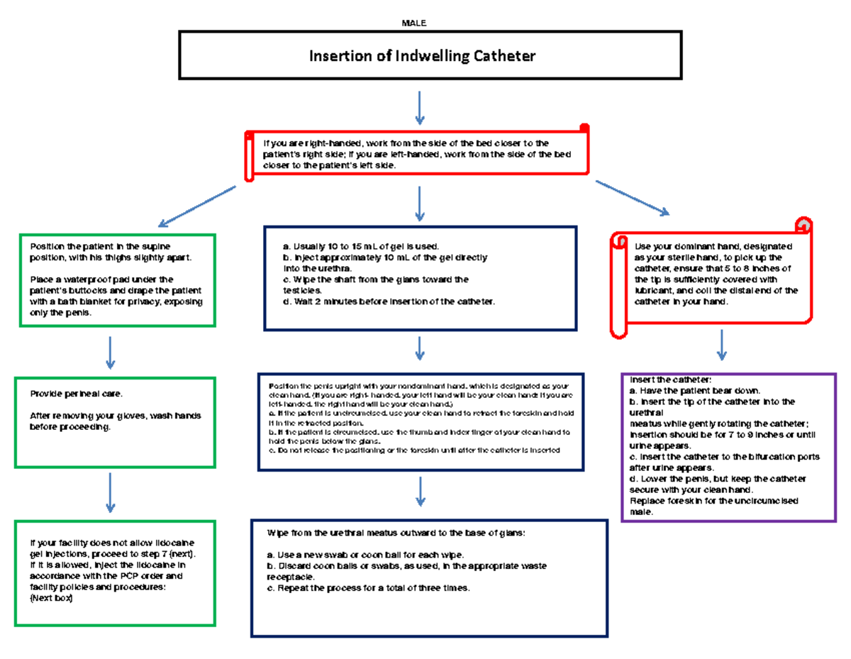 Indwelling Catheter Insertion - Insertion of Indwelling Catheter If you ...