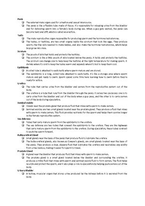 Gen Ed English Reviewer 2 - Gen Ed English reviewer _____ is an epic ...