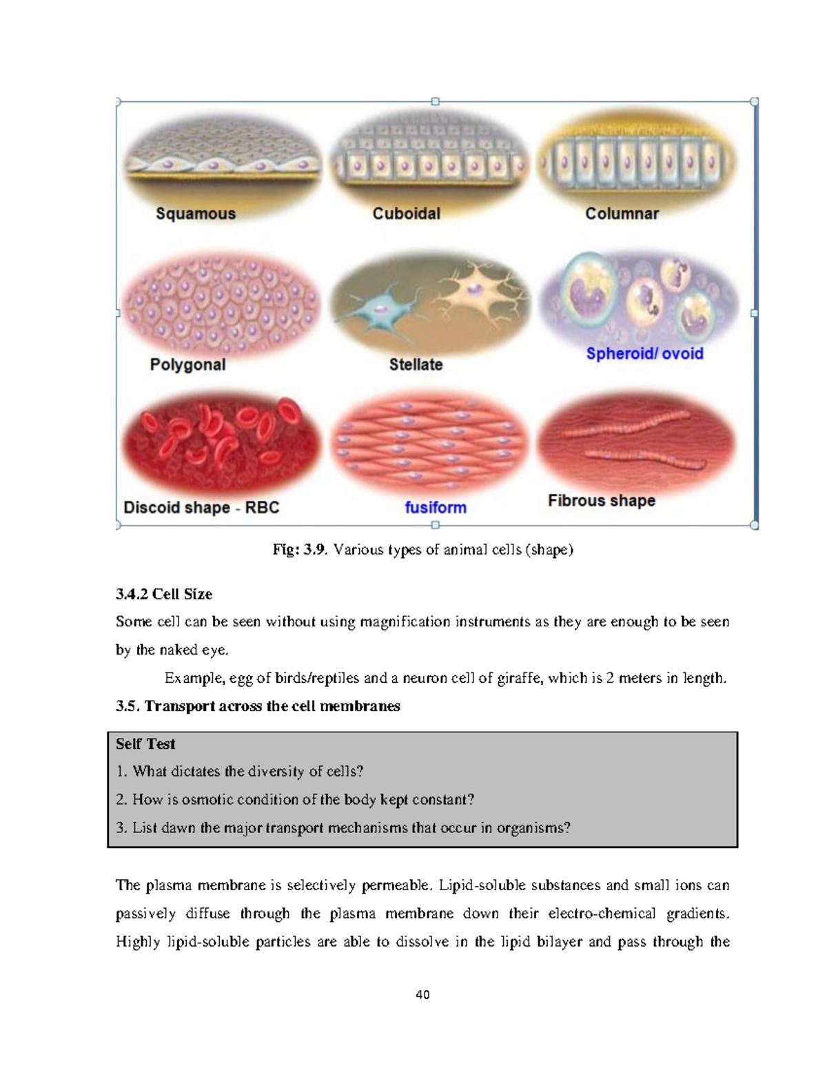General Biology-14 - 40 Fig: 3. Various types of animal cells (shape) 3 ...