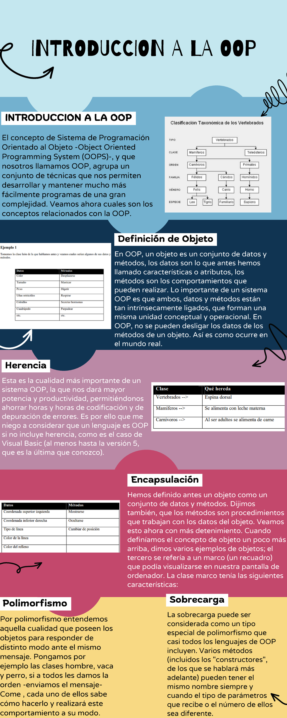 Infografía de Proceso Rompecabezas Sencillo Colorido - INTRODUCCION A LA OOP INTRODUCCION A LA ...