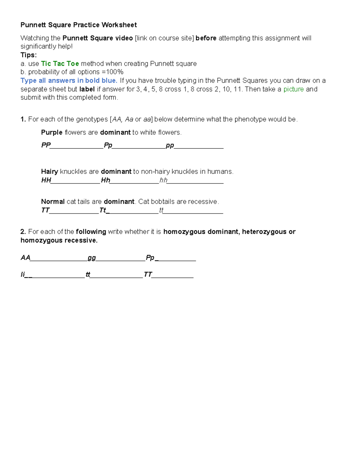 Punnett Square Practice Worksheet - Punnett Square Practice Worksheet ...
