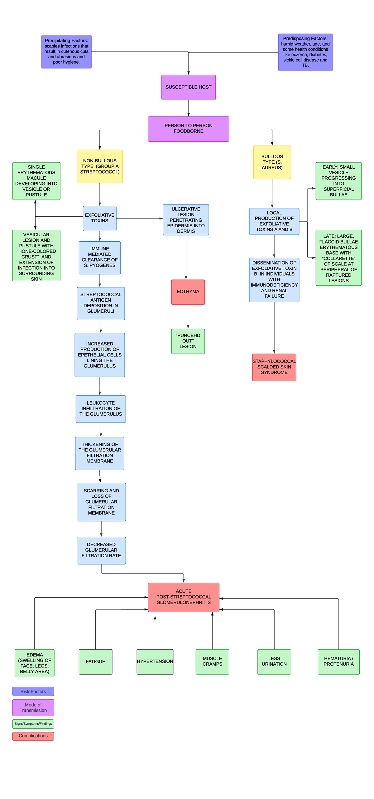 Pathophysiology-impetigo-agn compress - Predisposing Factors: humid ...