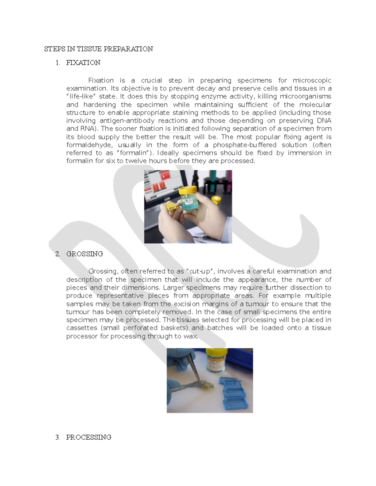 GMAE - Steps in Tissue Preparation - STEPS IN TISSUE PREPARATION 1 ...