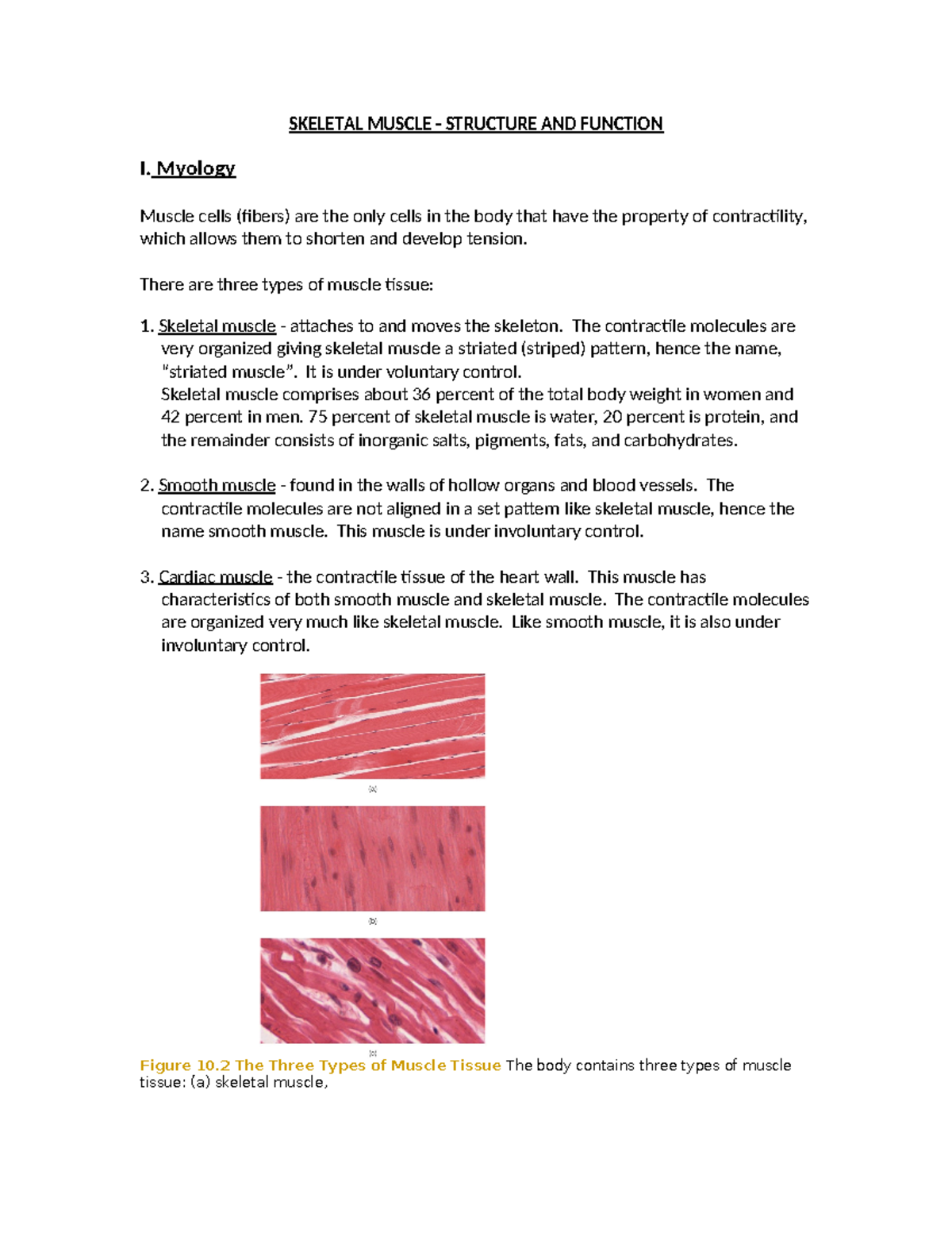 Week 4 Skeletal Muscle(20) - SKELETAL MUSCLE - STRUCTURE AND FUNCTION I ...