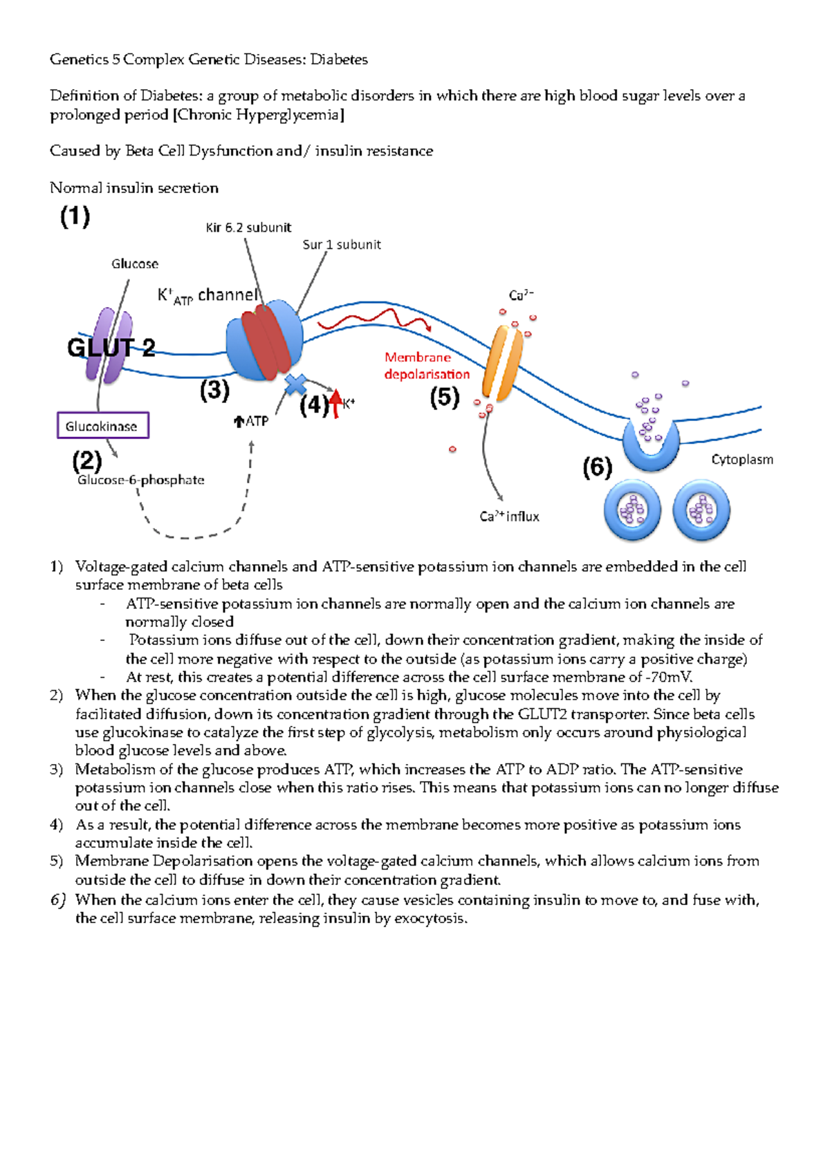 Genetics 5 Complex Genetic Diseases - Genetics 5 Complex Genetic ...