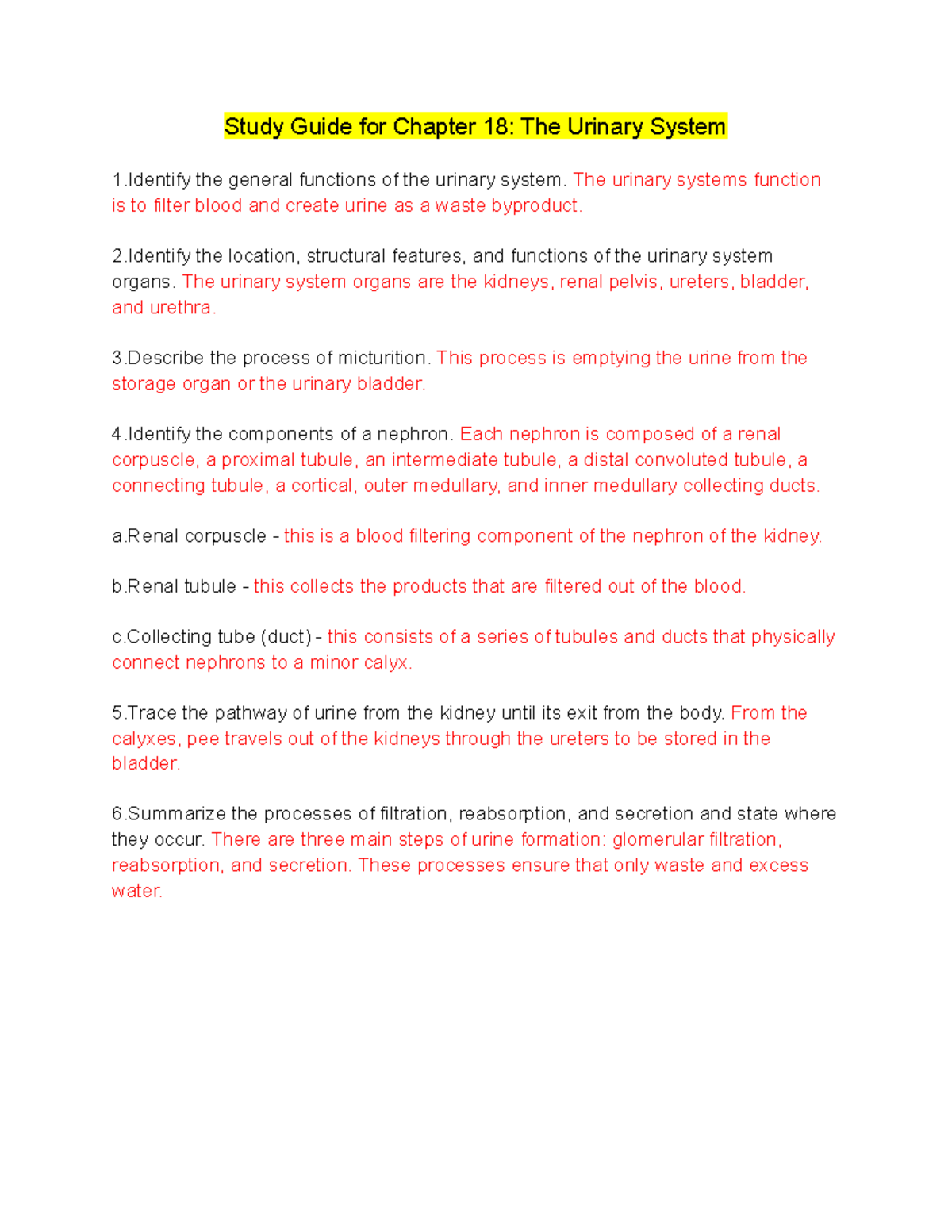 Study Guide for Chapter 18 The Urinary System - The urinary systems ...
