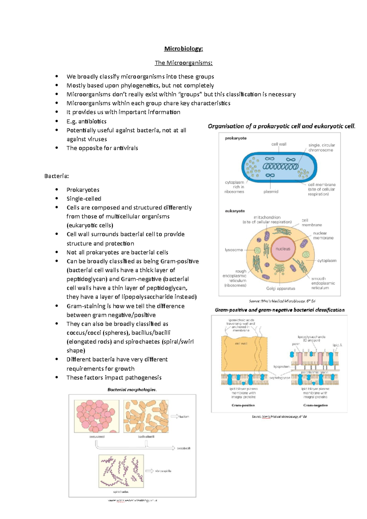 Lecture 1 - Microorganisms - Microbiology: The Microorganisms: We ...
