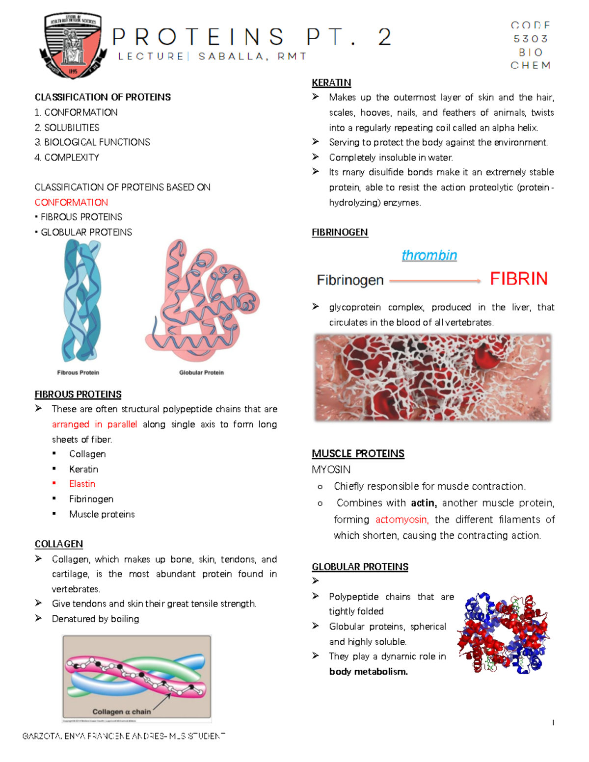 2.3 Proteins - CLASSIFICATION OF PROTEINS 1. CONFORMATION 2 ...