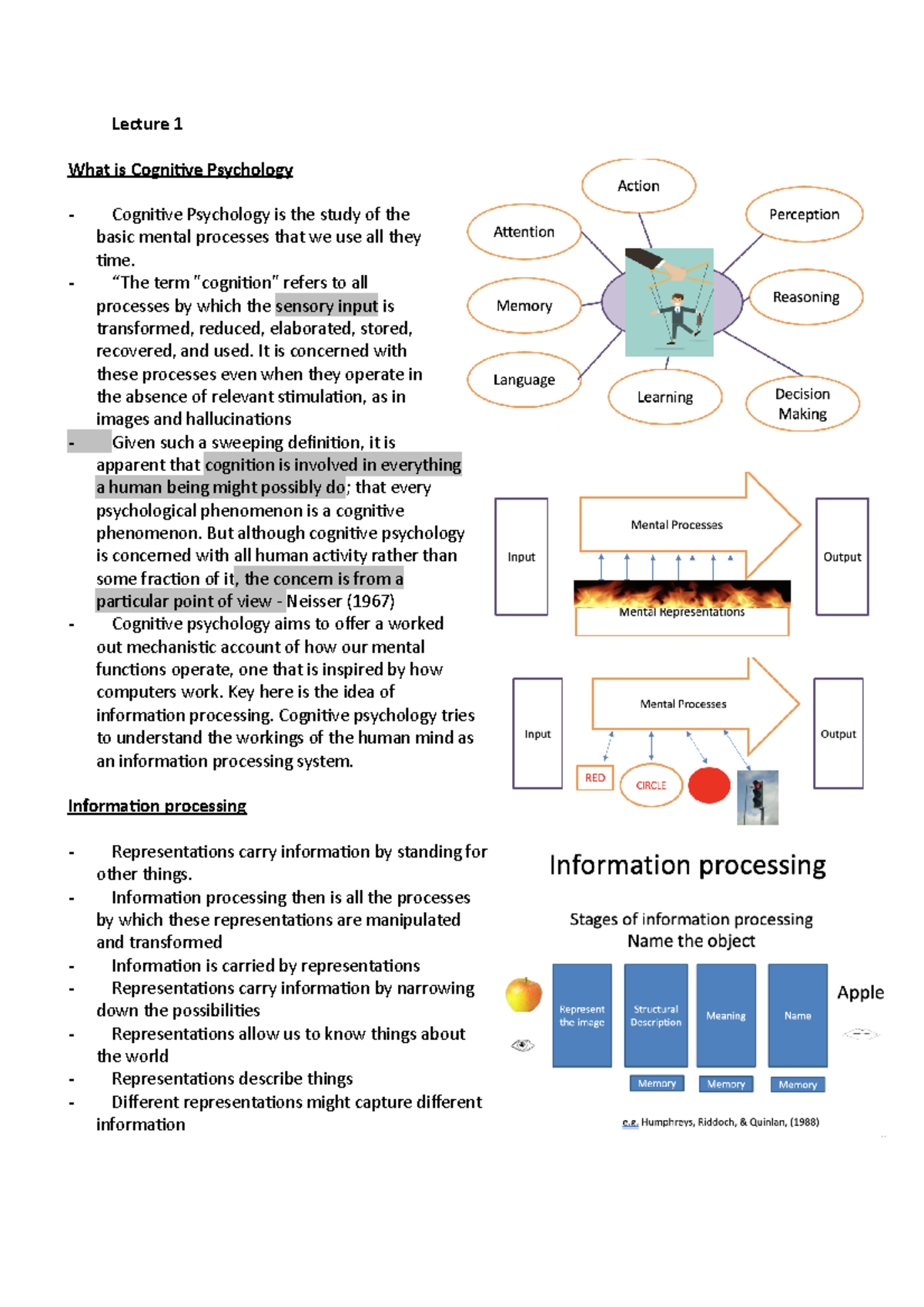 Memory and attention Lecture 1 - Lecture 1 What is Cognitive Psychology Cognitive Psychology is ...