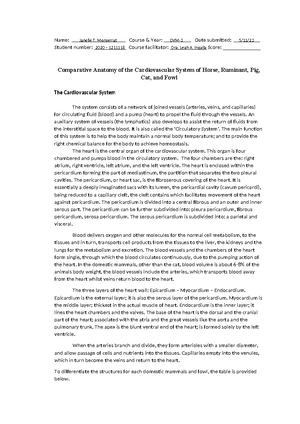 Comparative Anatomy-Male-Reproductive-System-Summary Notes ...