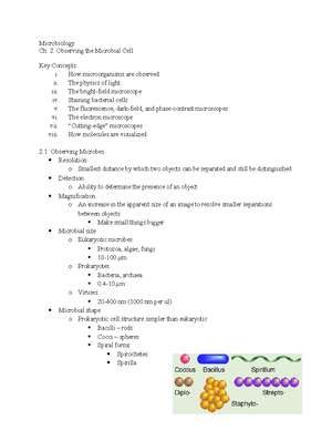 Chapter 3 Notes - Microbiology Ch. 3: Cell Structure & Function Key ...