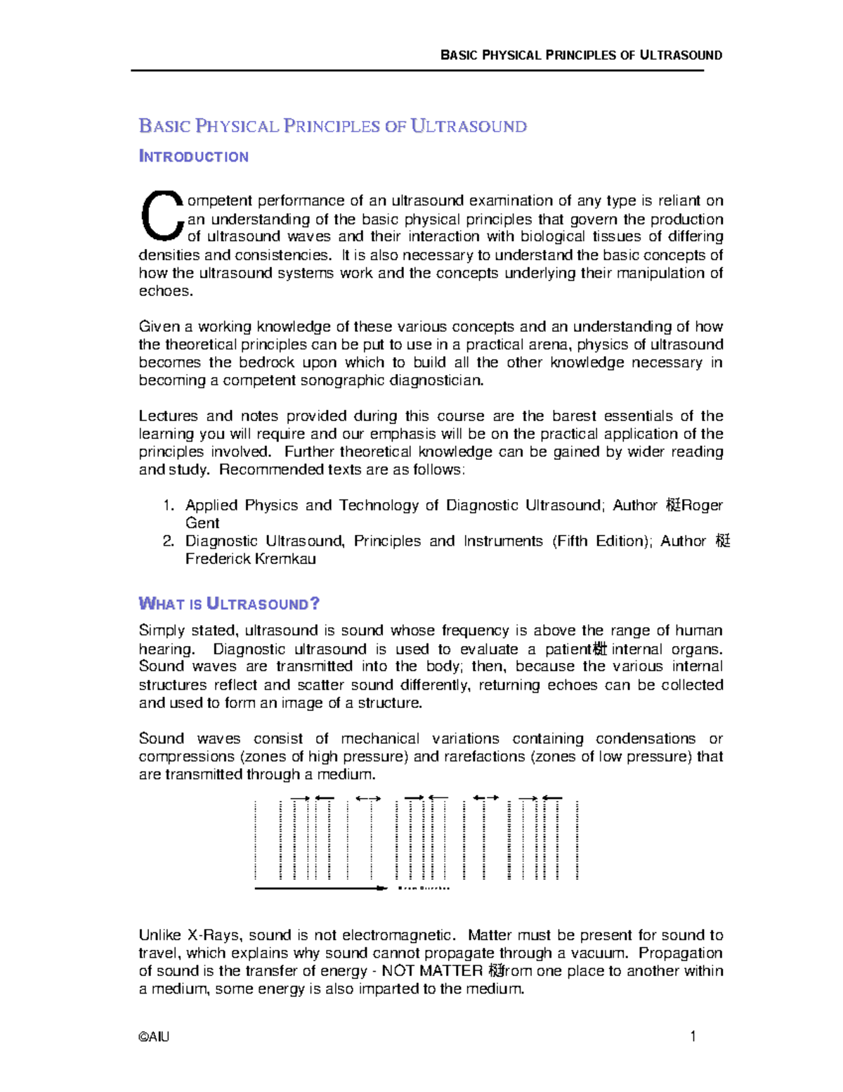 Basic ultrasound - BASIC PHYSICAL PRINCIPLES OF ULTRASOUND B B AASSIICC ...
