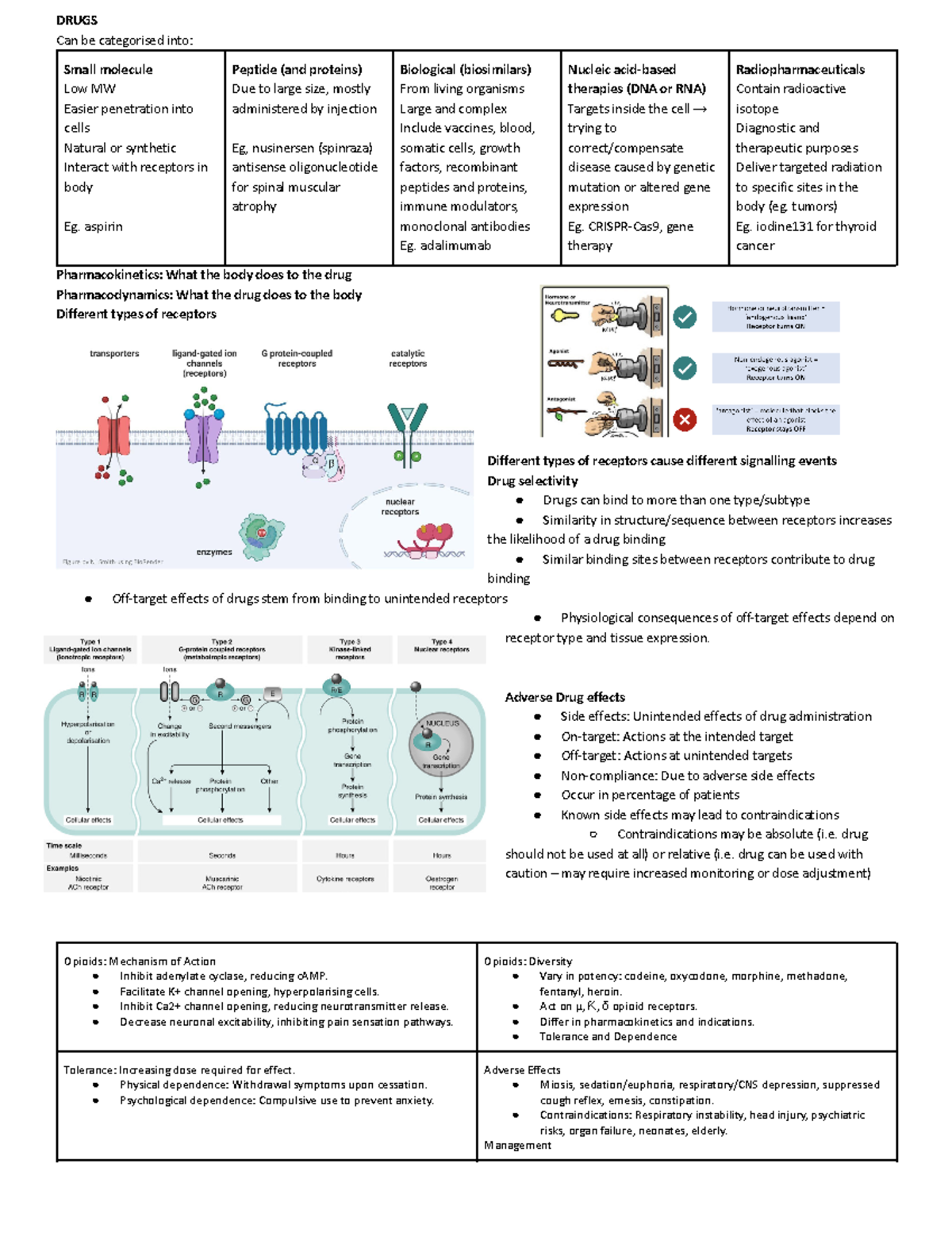 Copy of Untitled document - DRUGS Can be categorised into: Small ...