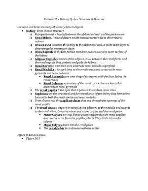 Exercise 33 Pulmonary Ventilation - Exercise 33: Pulmonary Ventilation ...
