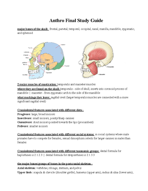 How humans evolved pdf - This textbook as a PDF is for Human Evolution ...