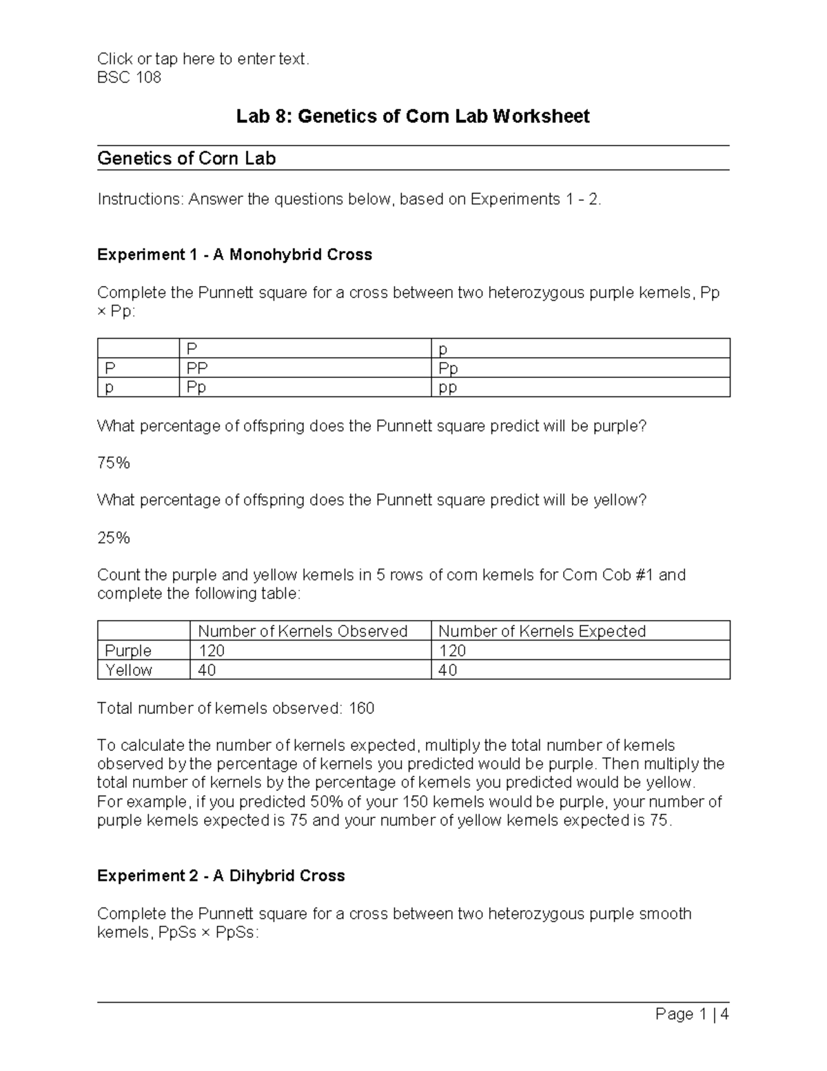 Lab 8 Genetics of Corn Worksheet - BSC 108 Lab 8: Genetics of Corn Lab ...