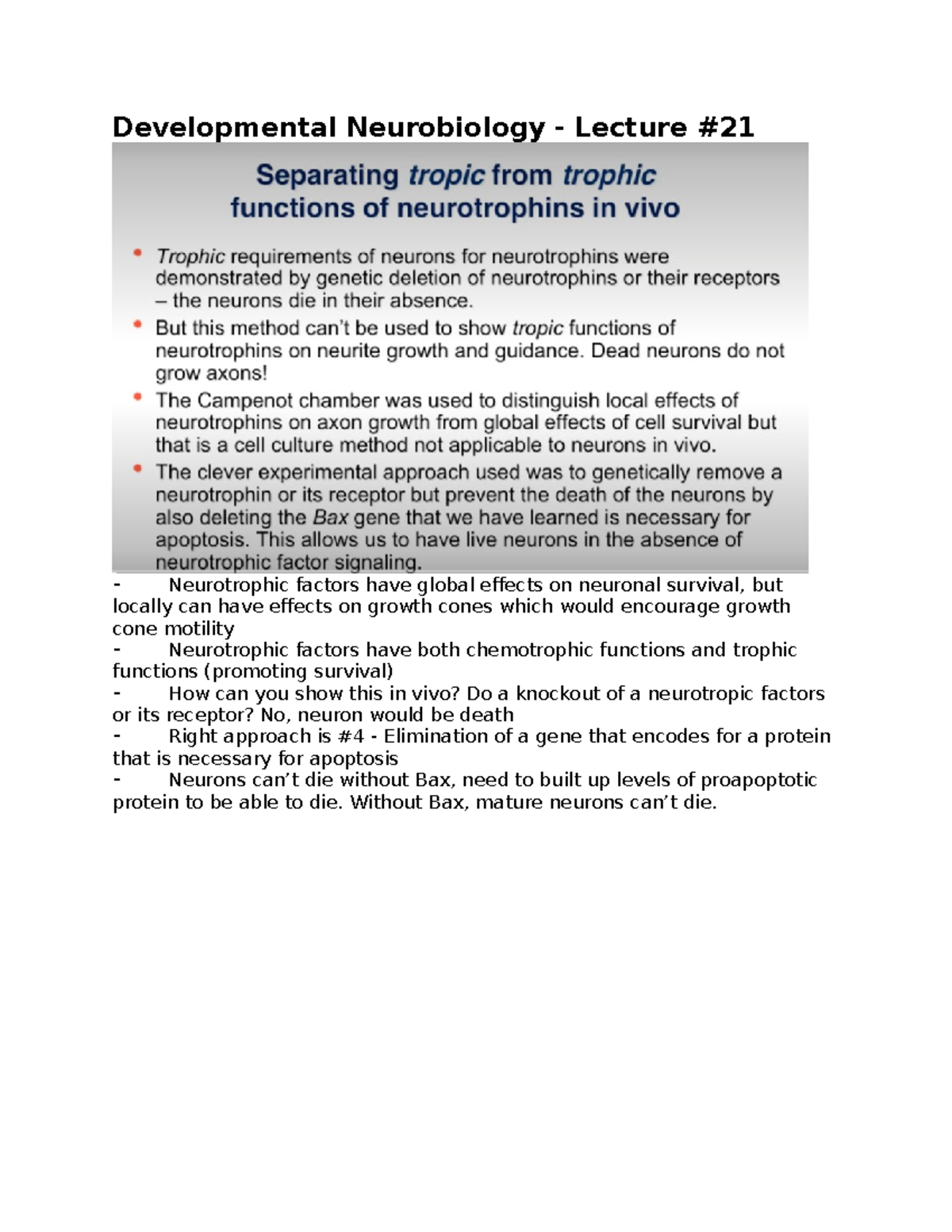 Developmental Neurobiology - Lecture #21 - Developmental Neurobiology ...