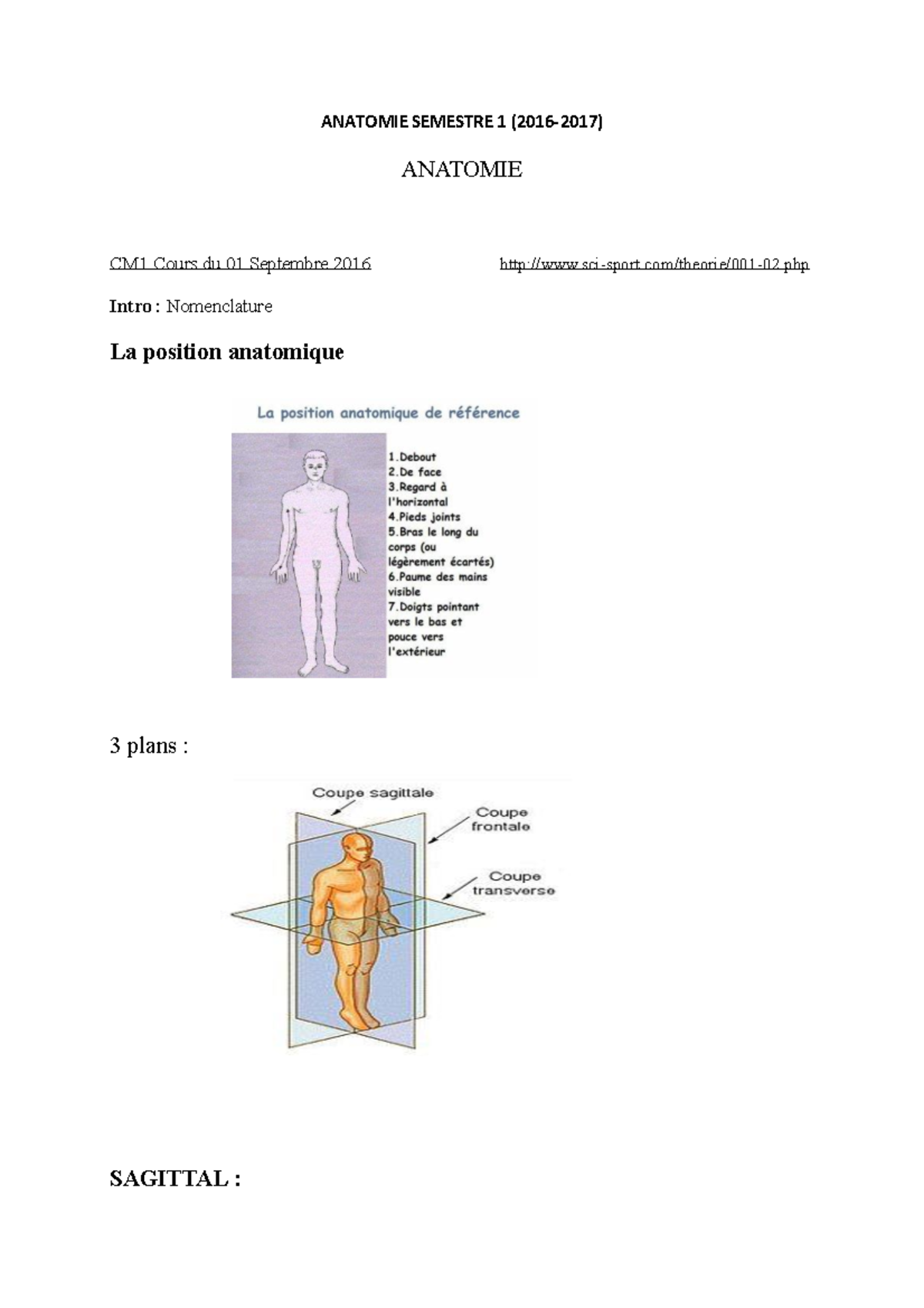 Anatomie Staps Semestre 1 - Warning: TT: undefined function: 32 ANATOMIE SEMESTRE 1 (2016-2017 ...