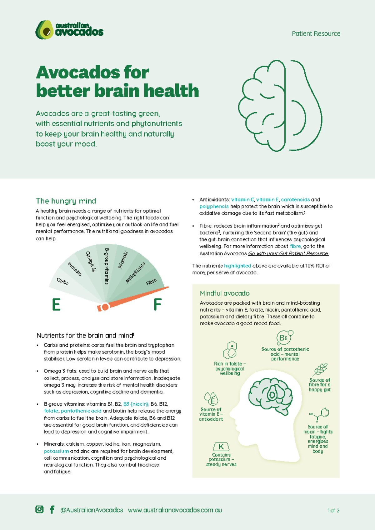 Avos HCP Brain Health Fact Sheet Final 020424 - Patient Resource ...