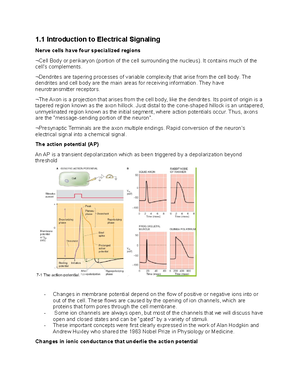 Lecture 5 The equivalent circuit of a neuron - NEURO 301 - U of S - Studocu