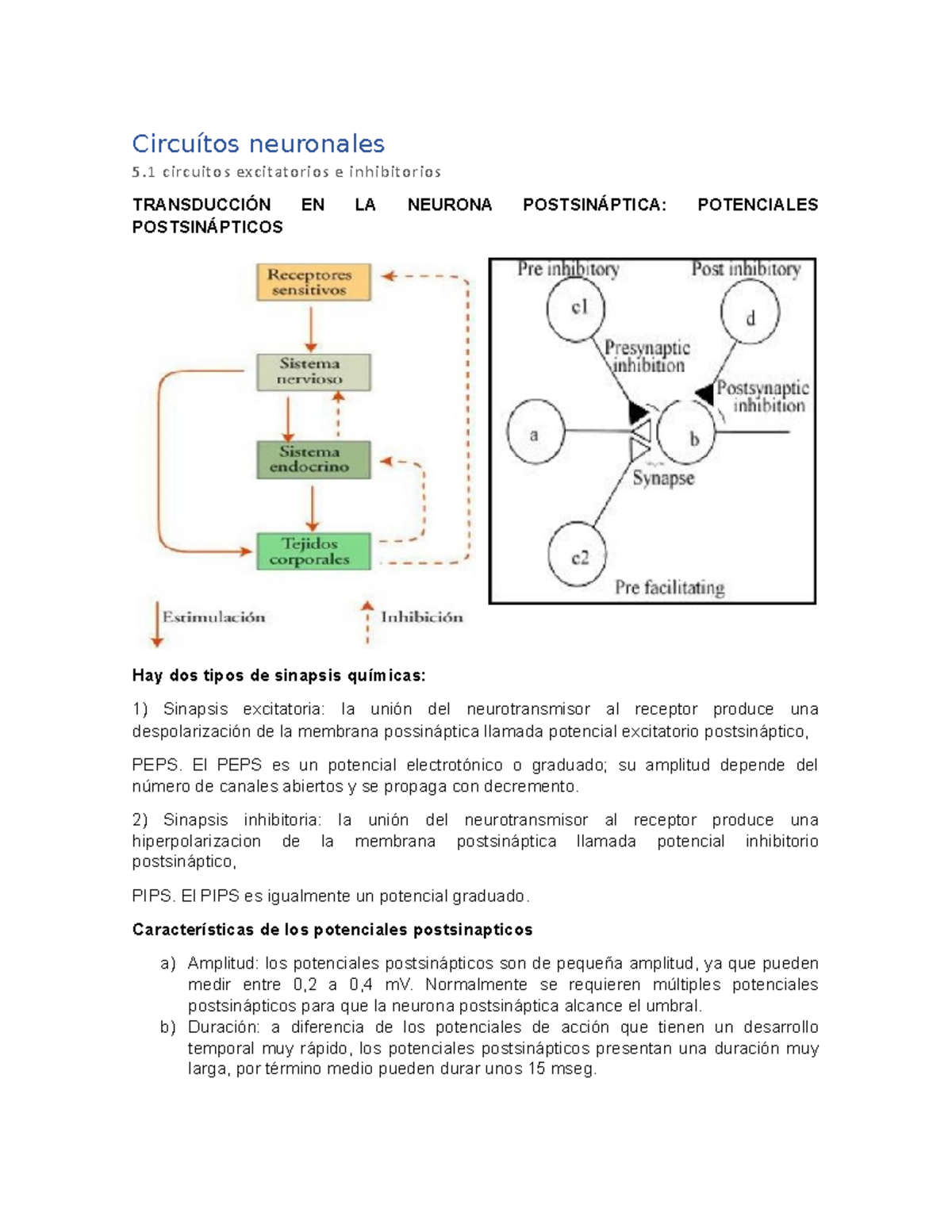 Circuítos neuronales - neuronales 5 circuitos excitatorios e ...