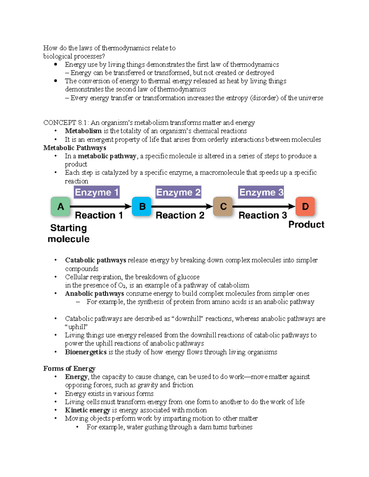 8.1 Campbell Biology TextBook Intro to Metabolism - How do the laws of ...