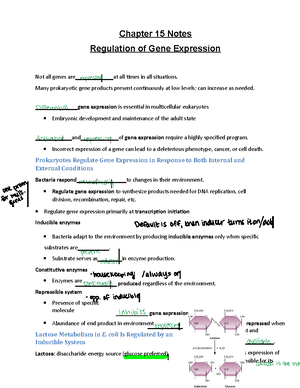 Chapter 4 Part 2 Notes - Modification of Mendelian Genetics - If blood ...