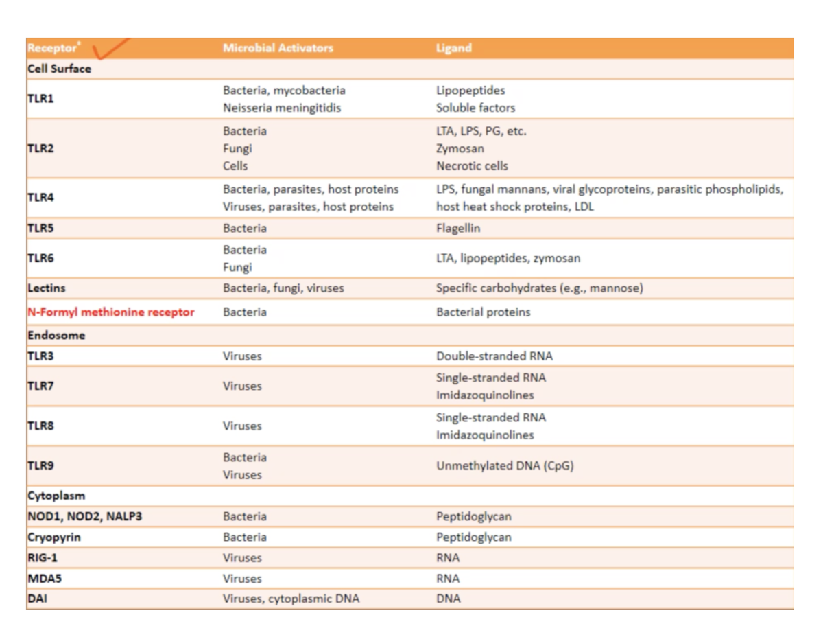Immuno tables - Helpful Immno doc - NUR 3032 - Studocu