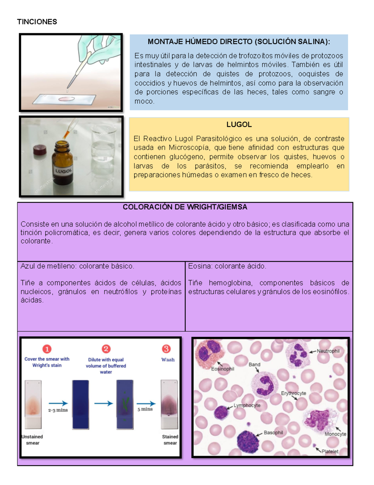 Tinciones - Parasitology stains - TINCIONES COLORACIÓN DE WRIGHT/GIEMSA ...