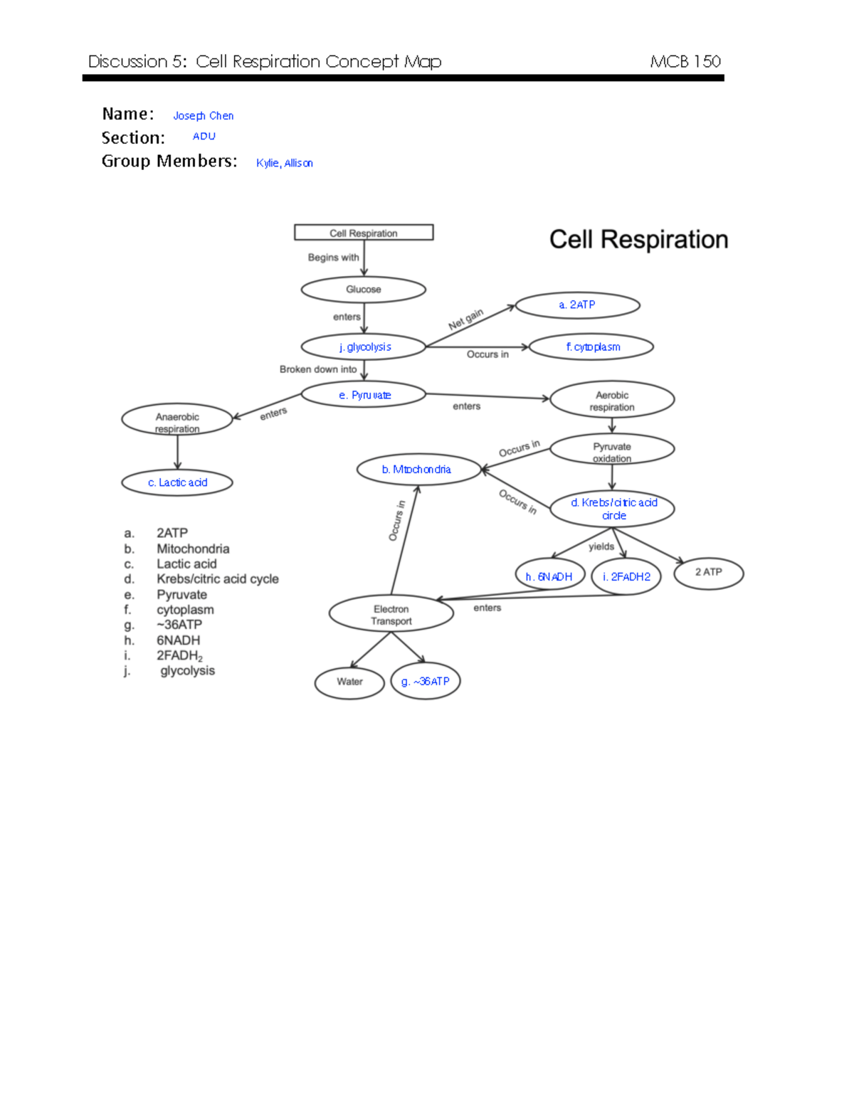 Cell Respiration Map Student - MCB 150 - Discussion 5 : Cell ...
