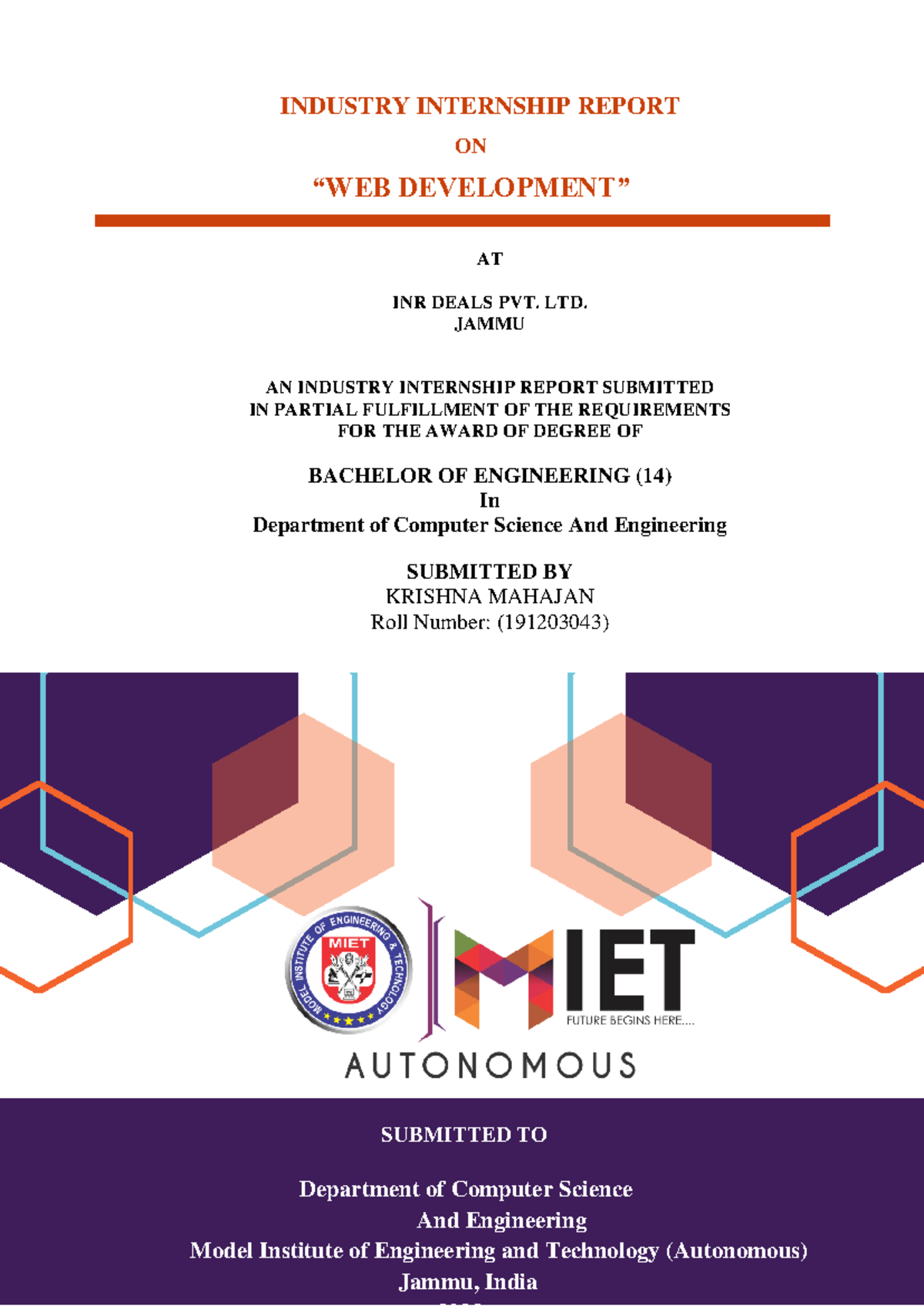 Krishna Industry - this is the internship report of web development ...