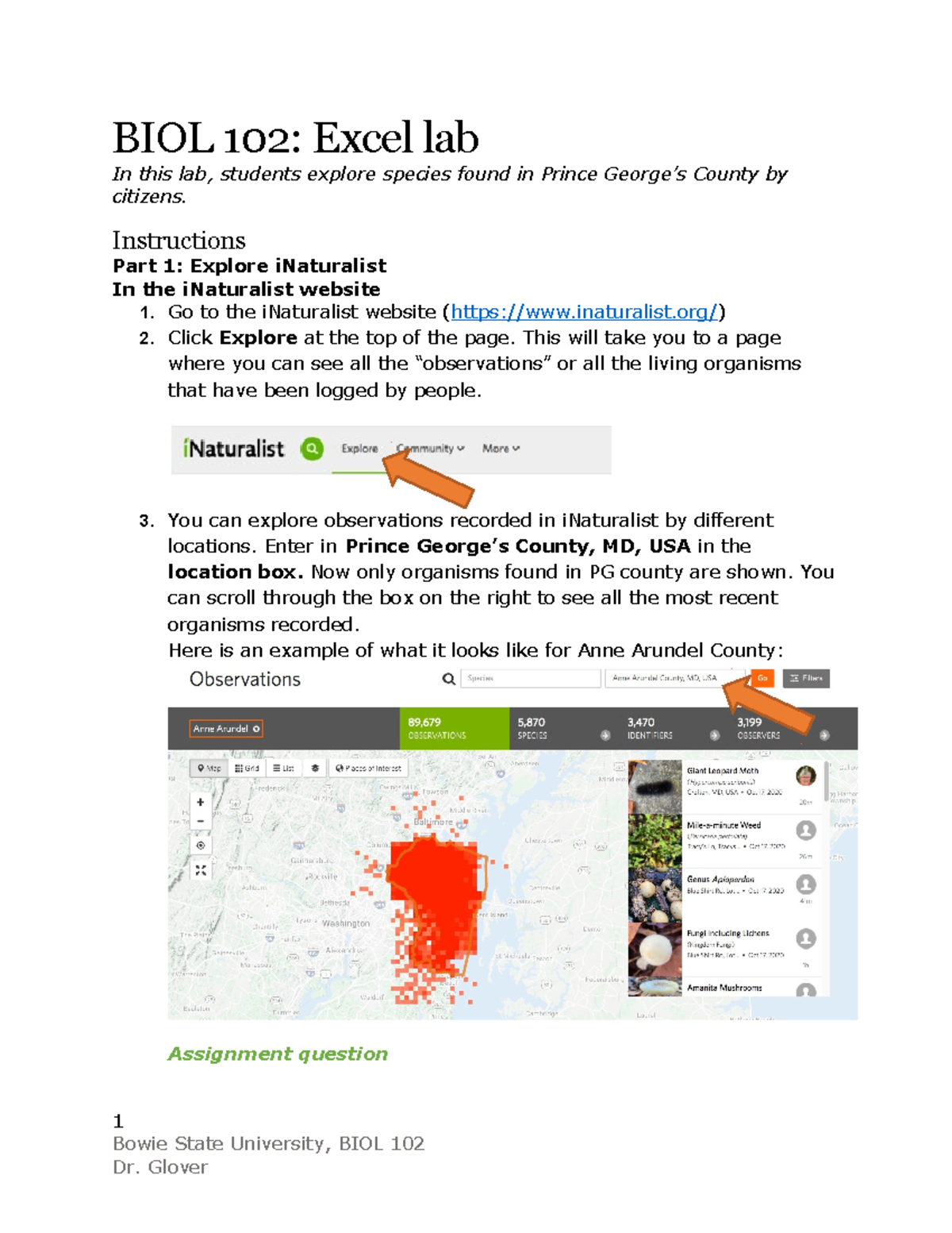 Excel-lab-protocol - Practice - BIOL 102: Excel lab In this lab ...