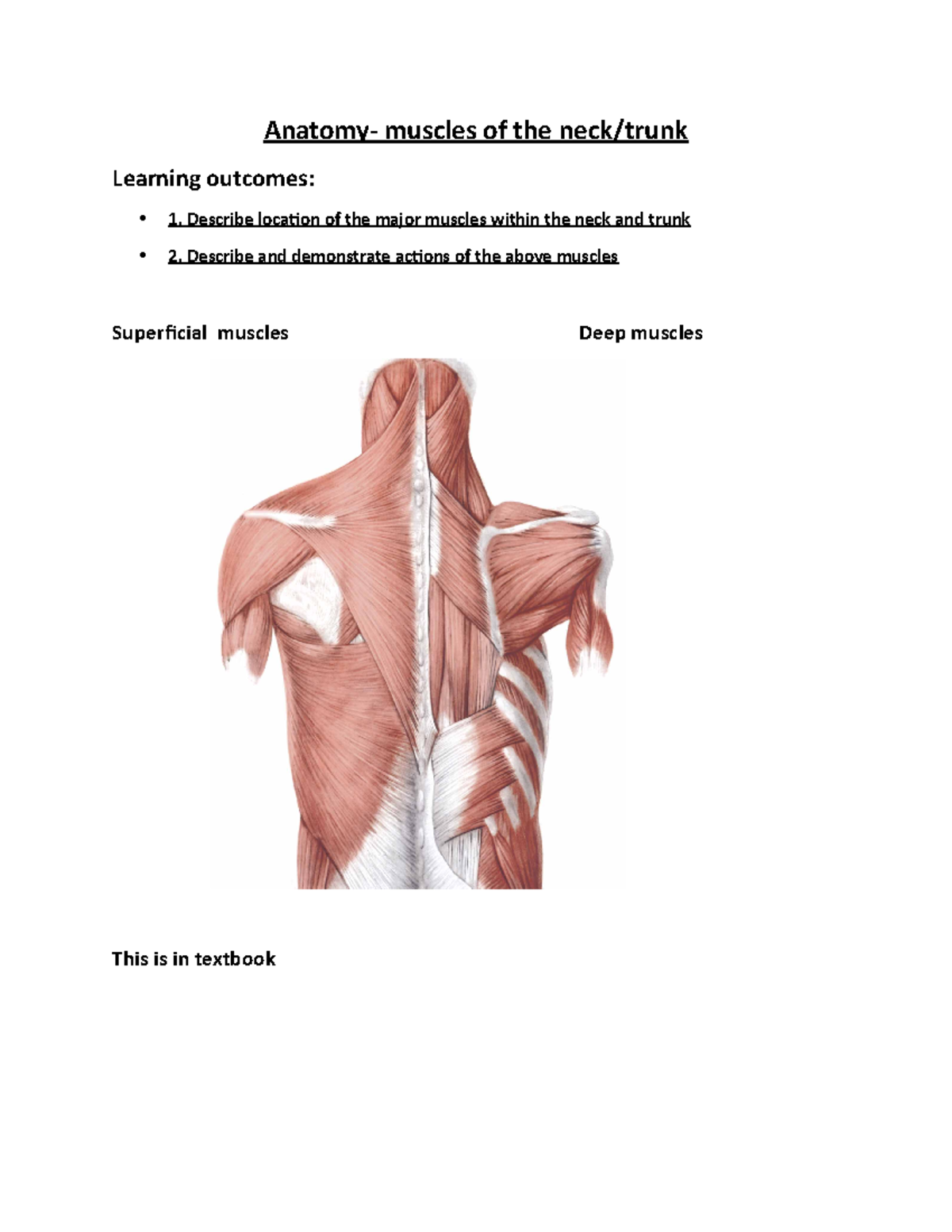Anatomy muscles of the neck and trunk - Anatomy- muscles of the neck ...