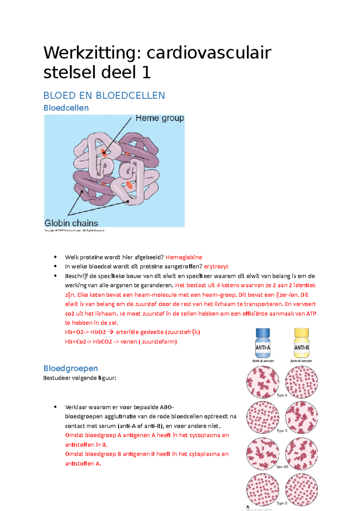 Werkzitting Cardiovasculair stelsel 1 - Werkzitting: cardiovasculair stelsel deel 1 BLOED EN ...